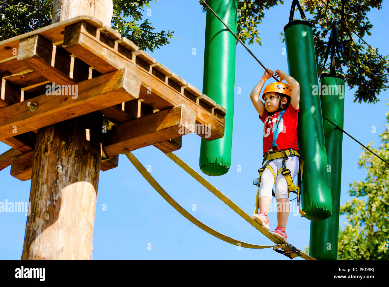 Little brave caucasian girl at outdoor treetop climbing adventure park ...