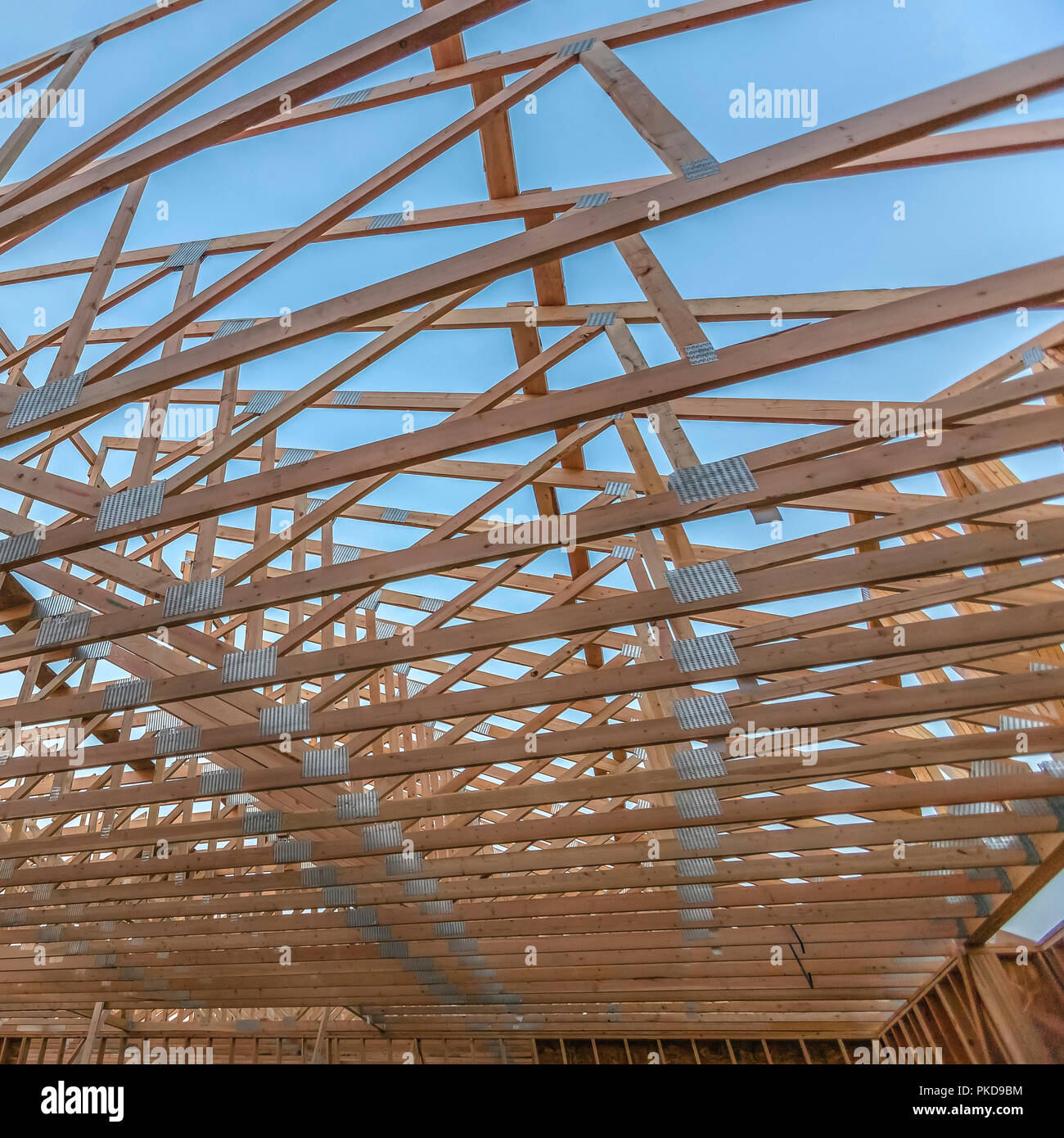 An open wood rooftop with wooden beams square Stock Photo - Alamy