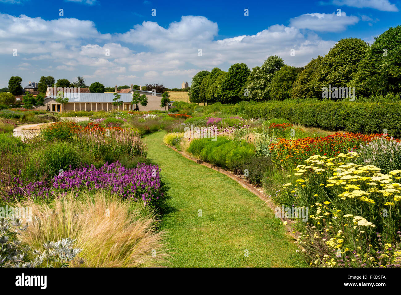 The rich colours of designer Piet Oudolf’s 2015 ‘Oudolf’s Field’ garden ...