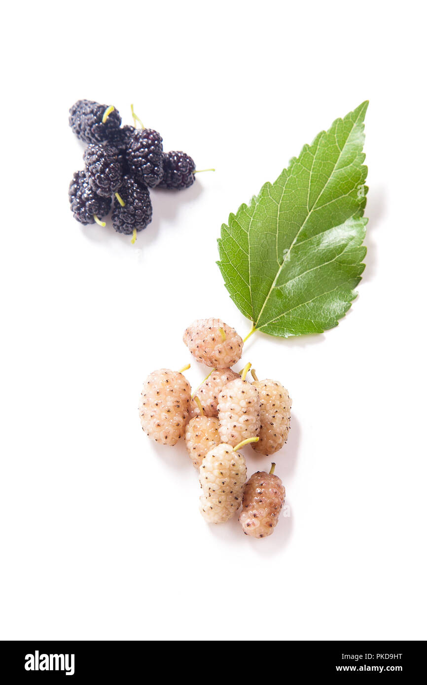 Two heaps of fresh sweet black and white mulberry berries with green ...