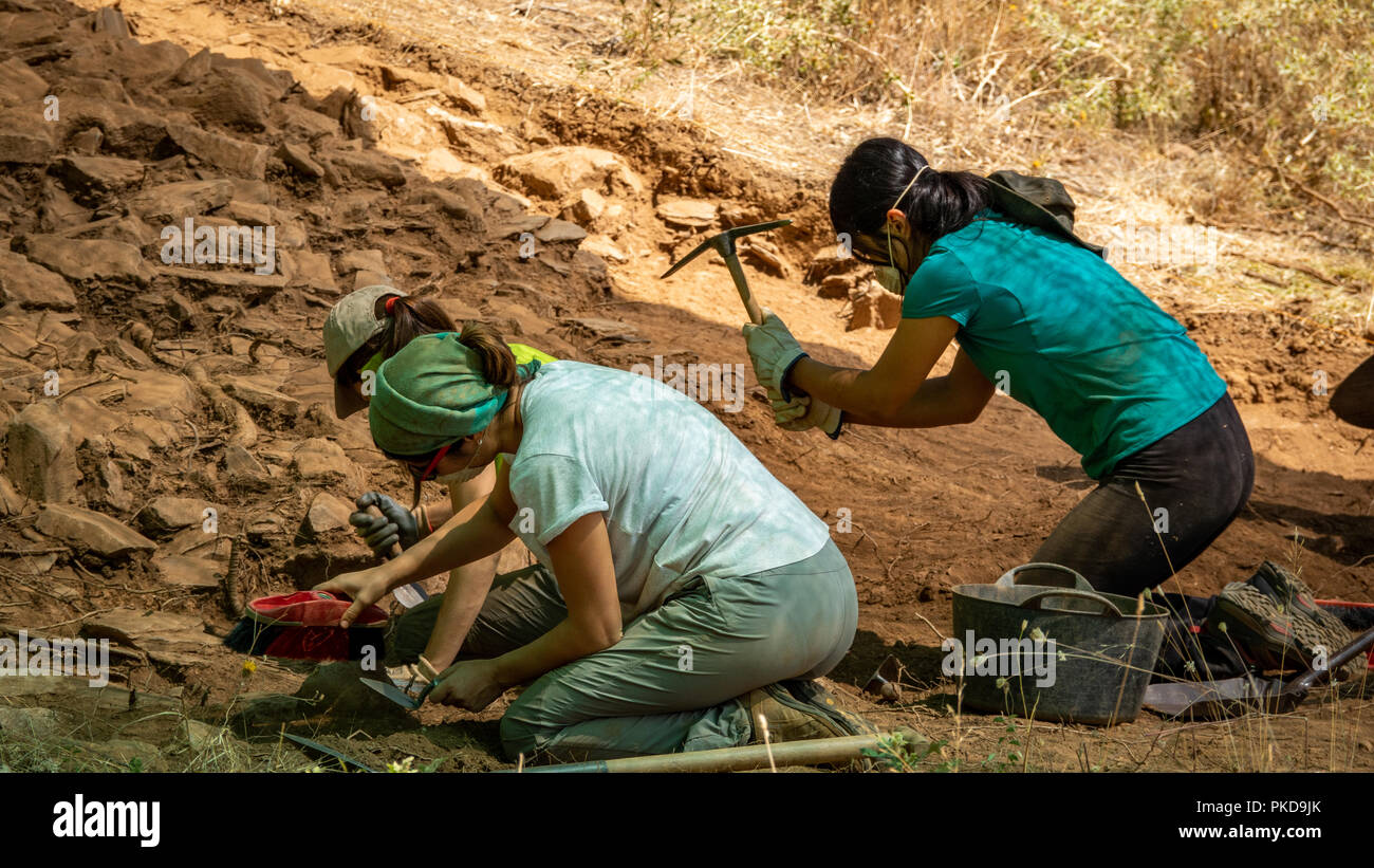 Female archaeologist hi-res stock photography and images - Alamy