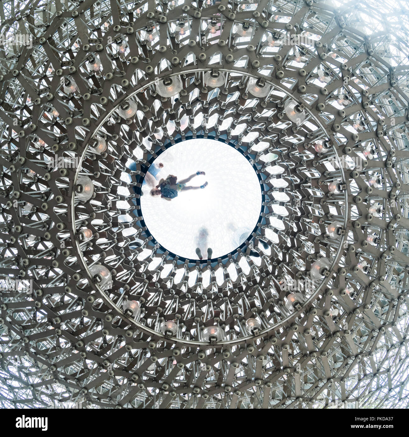 The Hive, Kew Gardens - Created by artist Wolfgang Buttress Stock Photo ...
