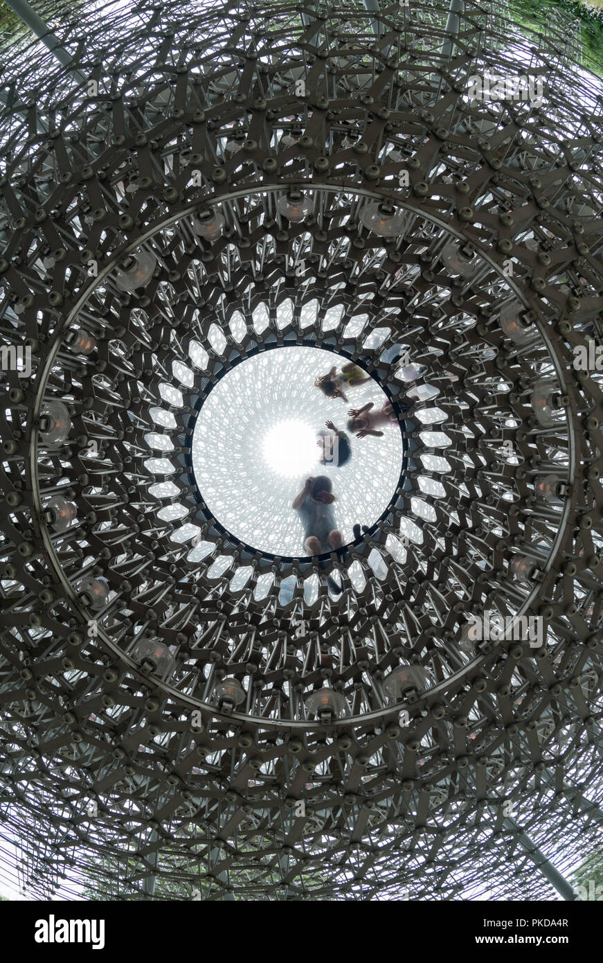 The Hive, Kew Gardens - Created by artist Wolfgang Buttress Stock Photo ...