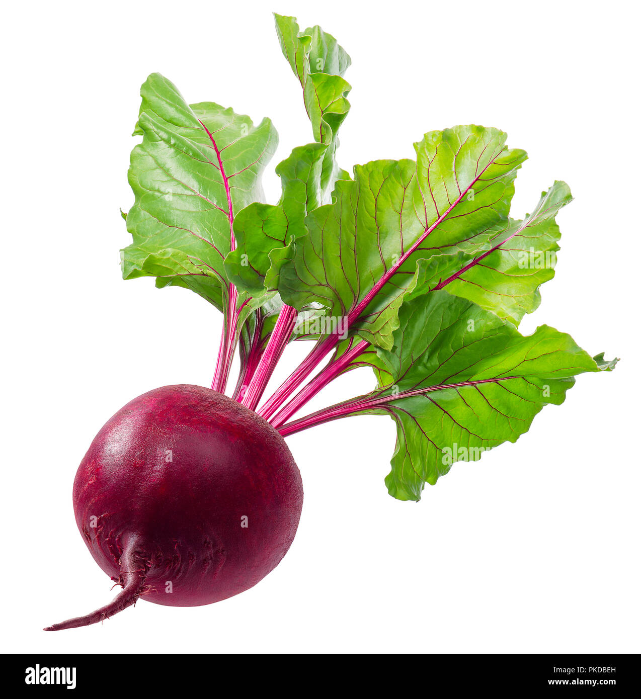 Beetroot white background hi-res stock photography and images - Alamy