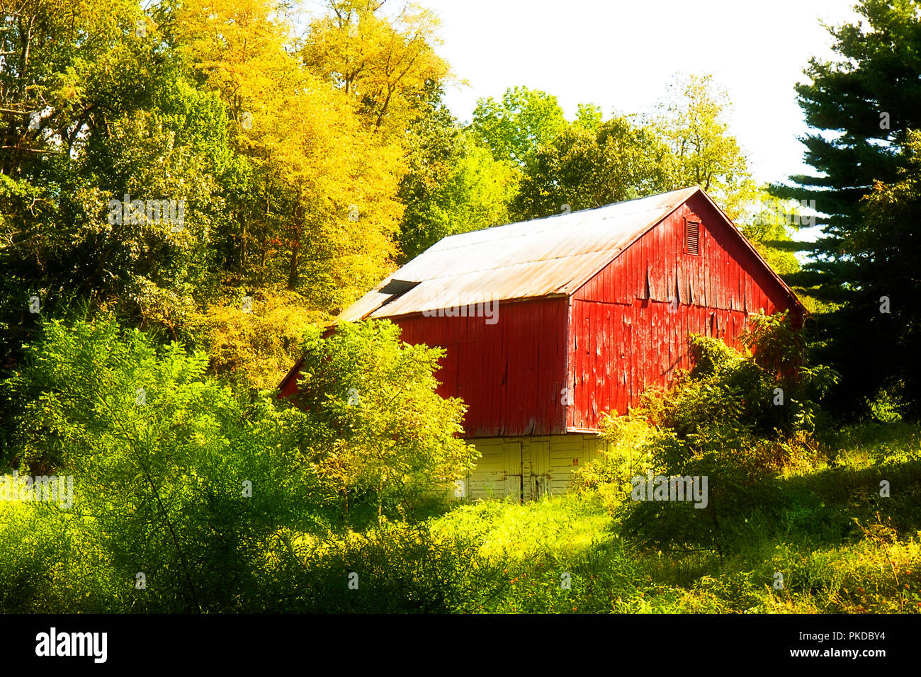 Rustic Red Trees Barn Red Farm Barn Silo Clipart | 15 High Quality