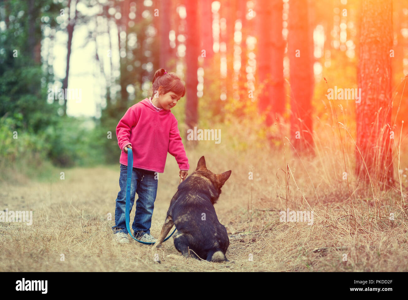 Happy little girl with dog walking in the forest Stock Photo - Alamy