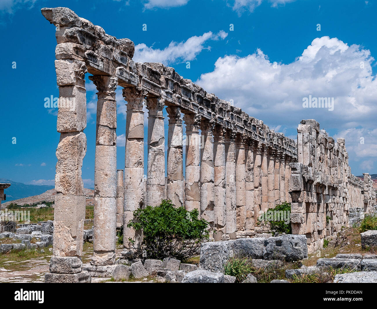 Apamea (also known as Afamia), the ancient Greek and Roman city. The ...