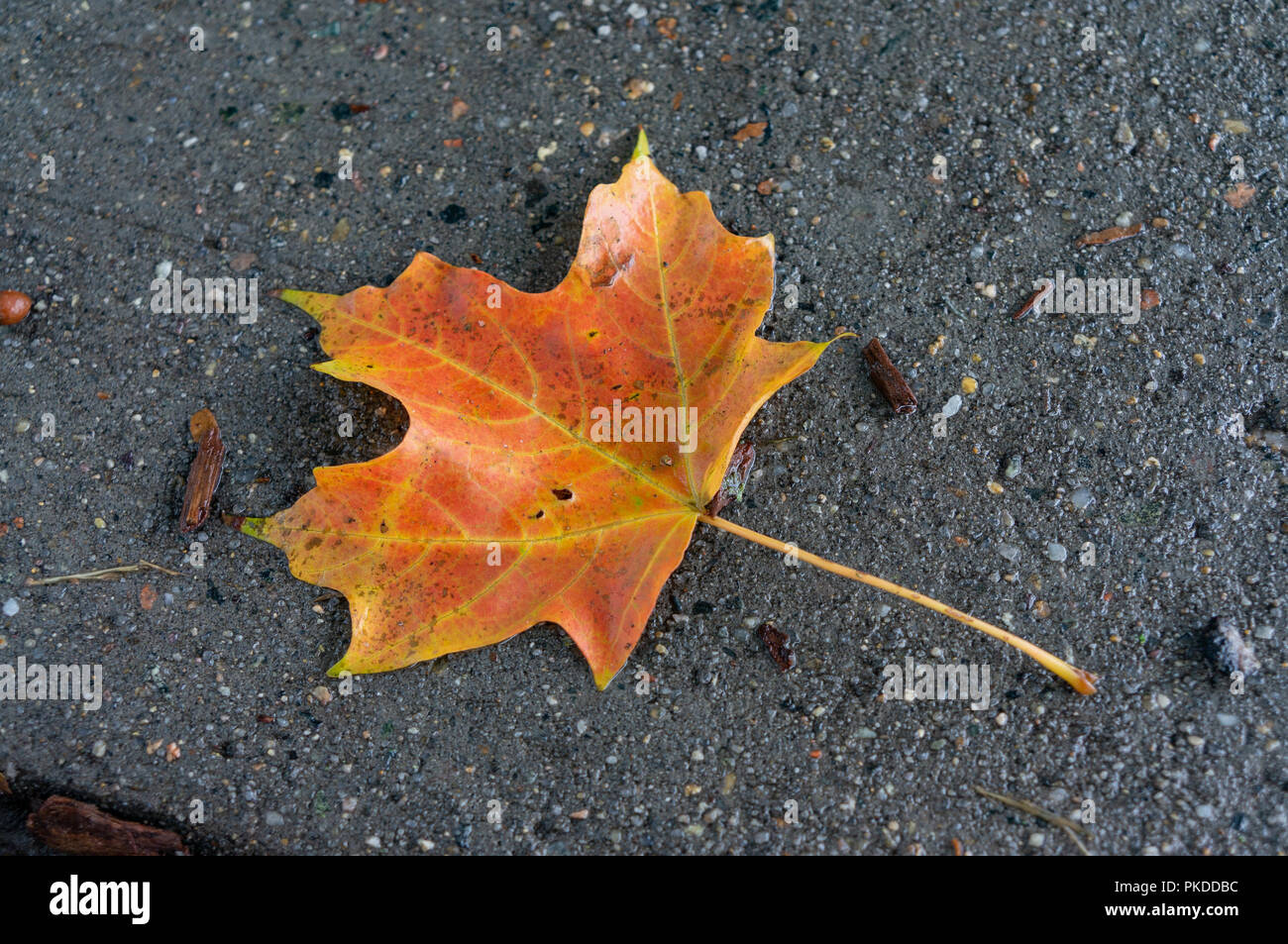 sun is falling Stock Photo - Alamy