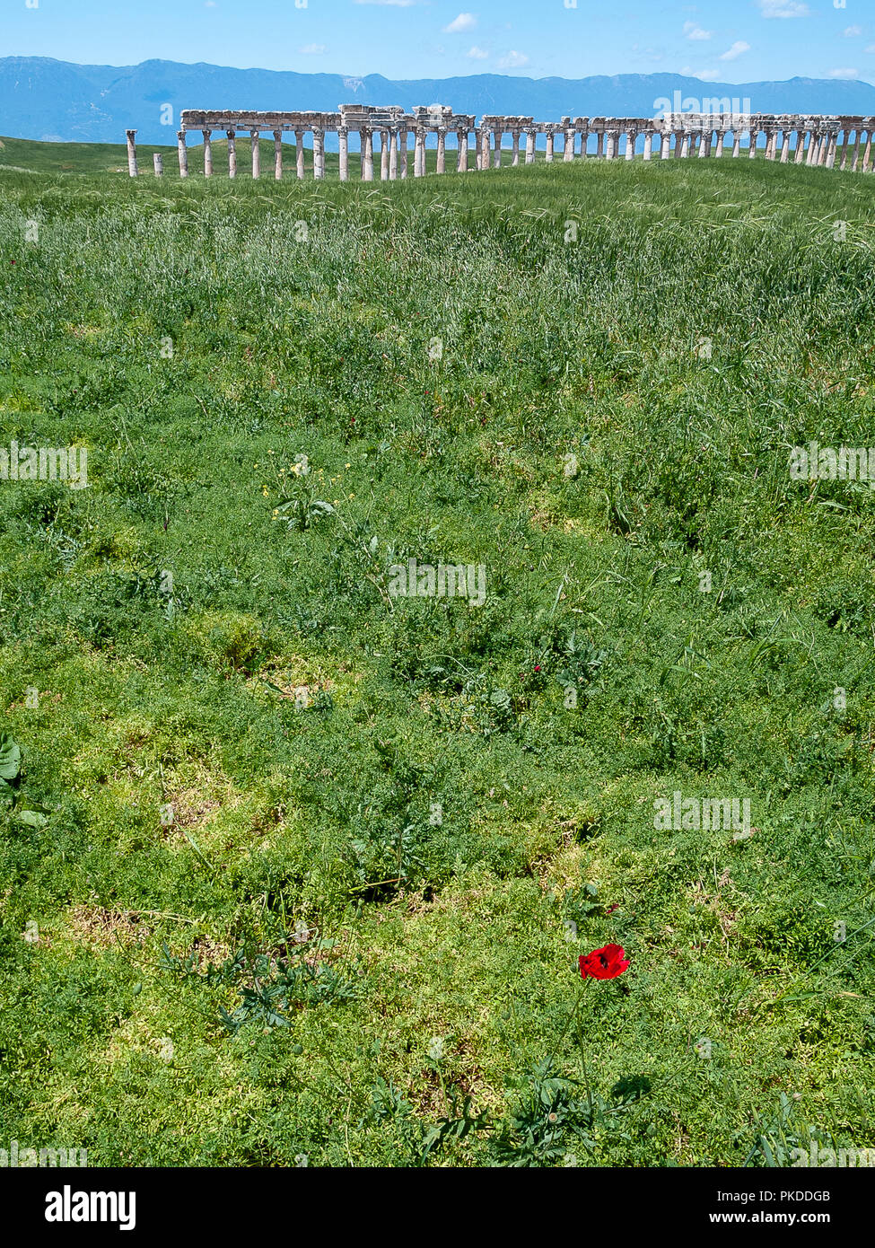 Apamea (also known as Afamia), the ancient Greek and Roman city. The ...