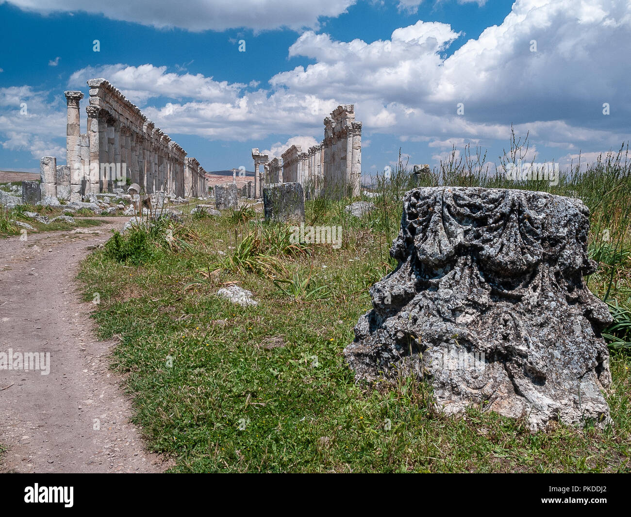 Apamea (also known as Afamia), the ancient Greek and Roman city. The ...