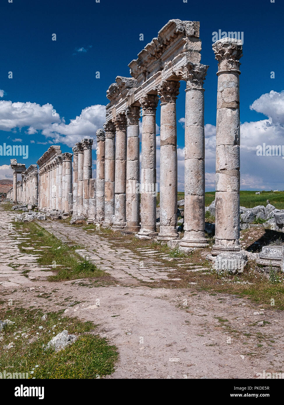 Apamea (also known as Afamia), the ancient Greek and Roman city. The ...