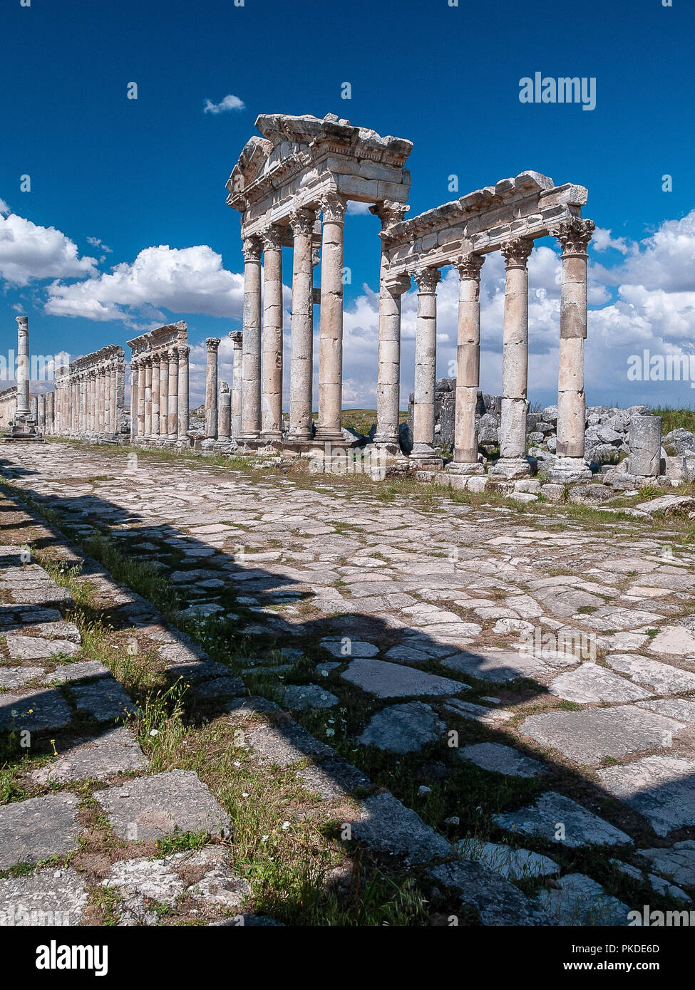 Apamea (also known as Afamia), the ancient Greek and Roman city. The ...