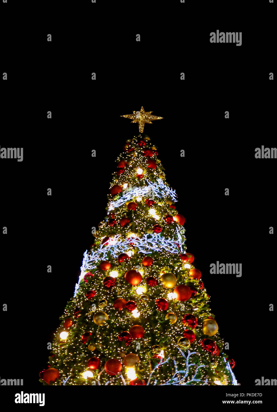 Giant Sparkling Christmas Tree Glittering Against Dark Night Sky Stock ...