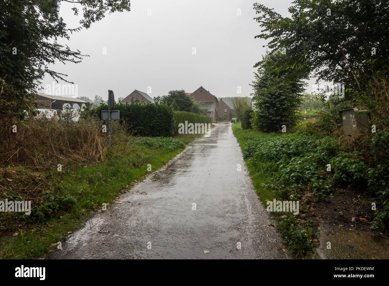 Rain water on the road on a wet dutch rural road, Limburg, Netherlands ...