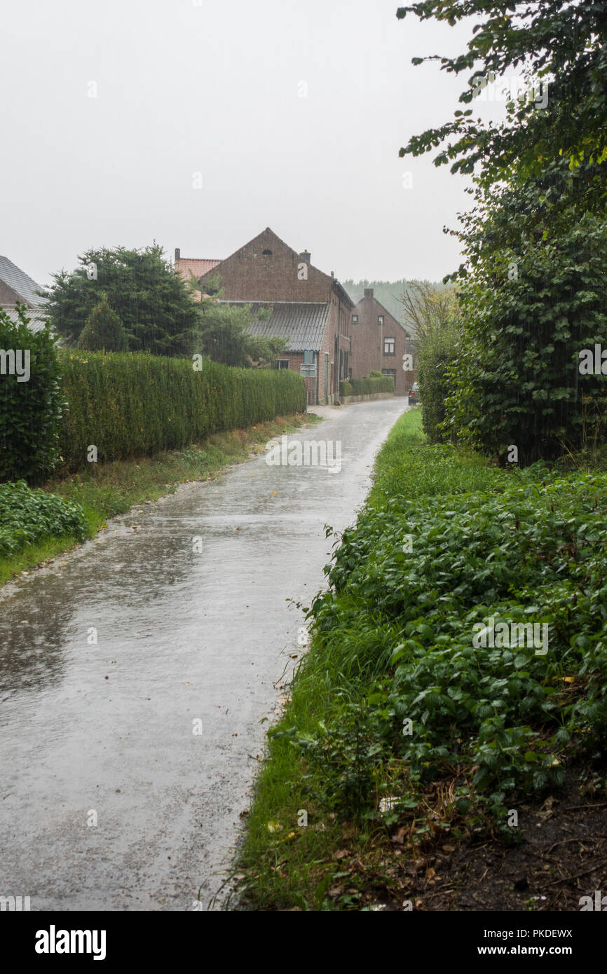 Netherlands autumn weather hi-res stock photography and images - Alamy