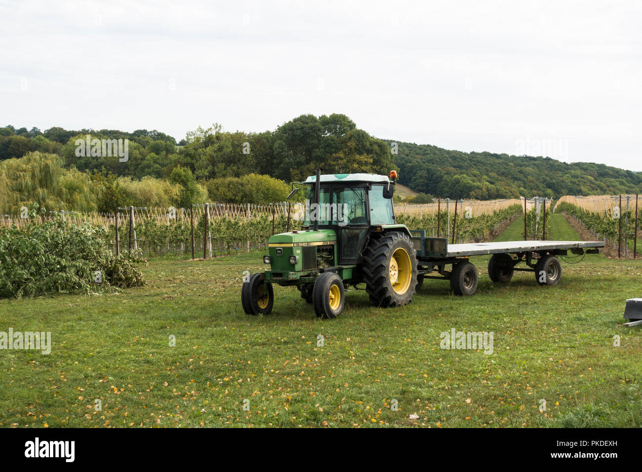 Fruit production hi-res stock photography and images - Alamy