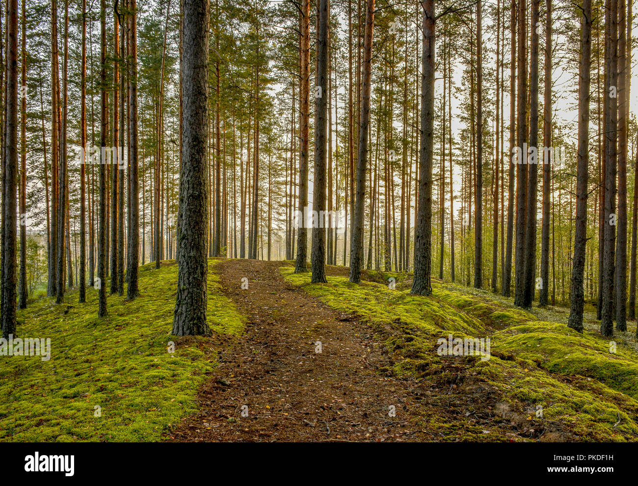 Kirovsky District High Resolution Stock Photography and Images - Alamy