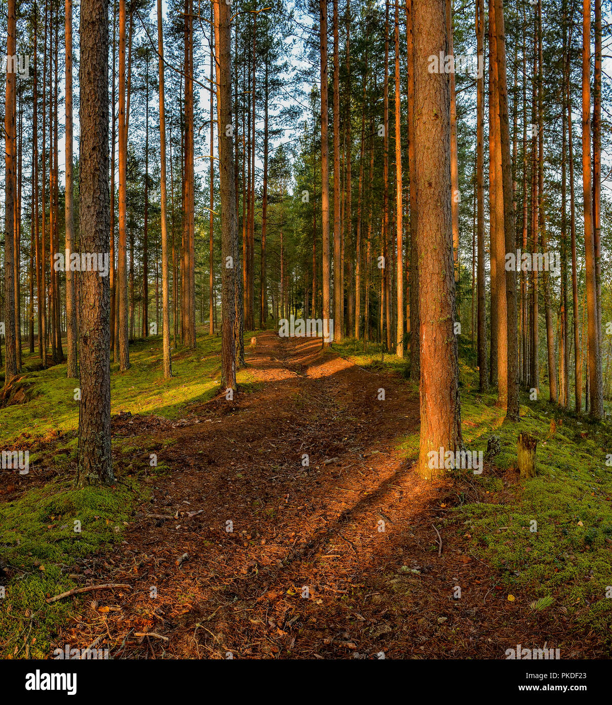 Kirovsky District High Resolution Stock Photography and Images - Alamy