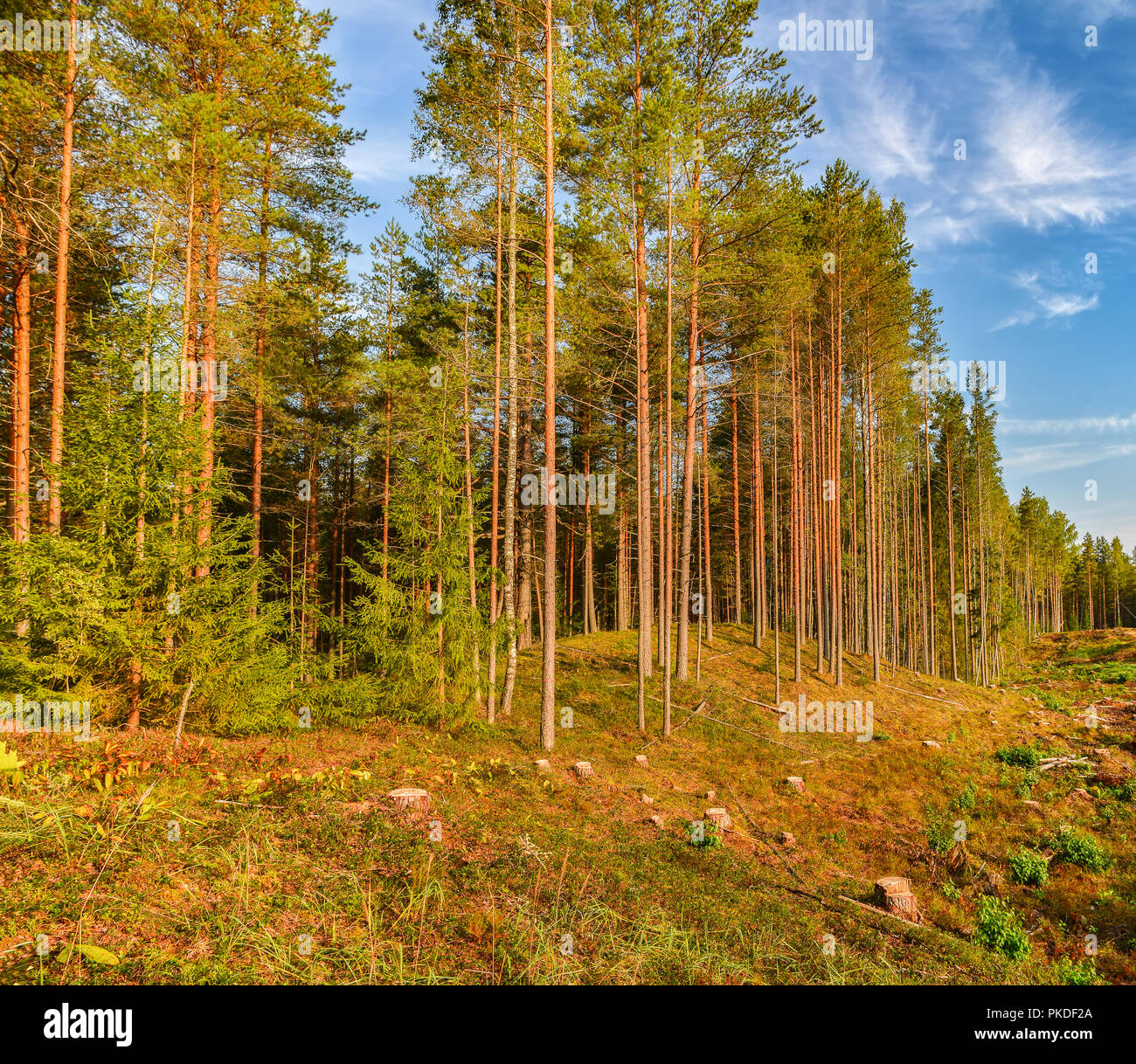 Kirovsky district hi-res stock photography and images - Alamy