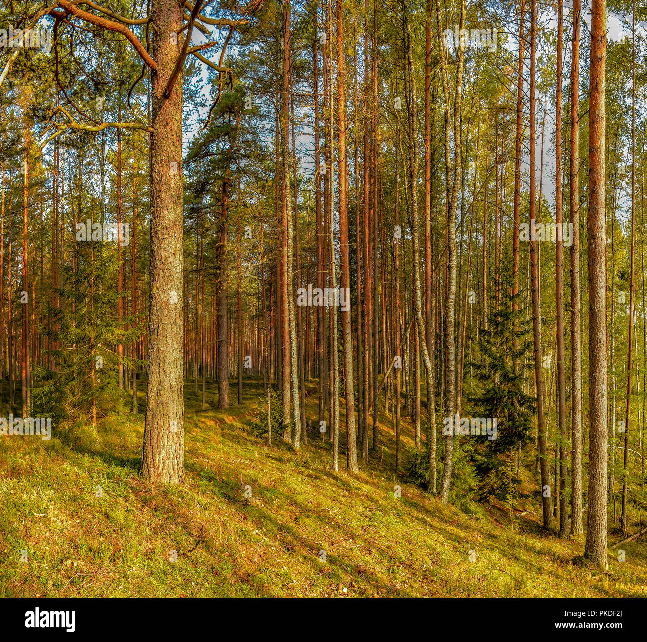 Kirovsky district hi-res stock photography and images - Alamy