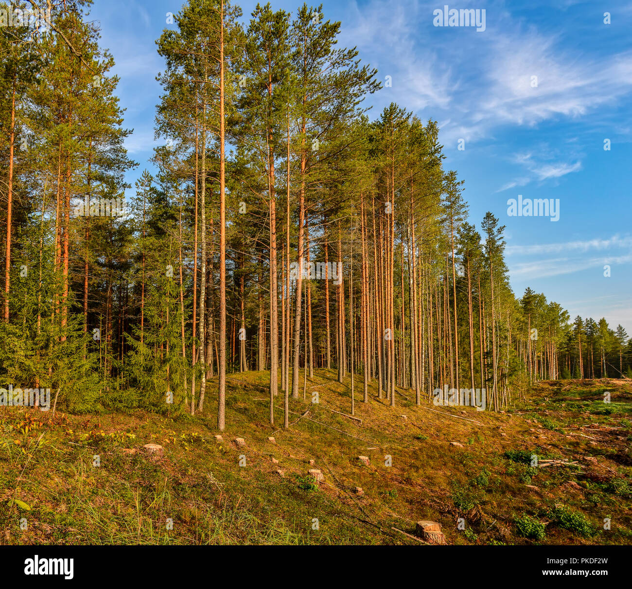 Kirovsky district hi-res stock photography and images - Alamy