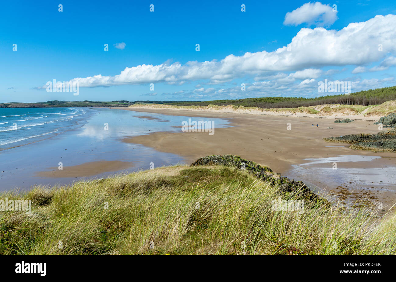 A view of Newborough beach looking towards Malltraeth, from Llanddwyn ...