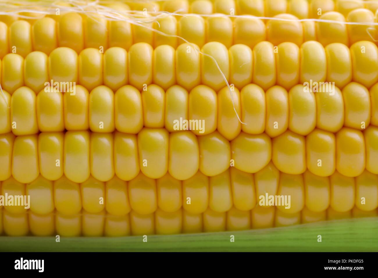 Fresh corn close up Background Stock Photo - Alamy