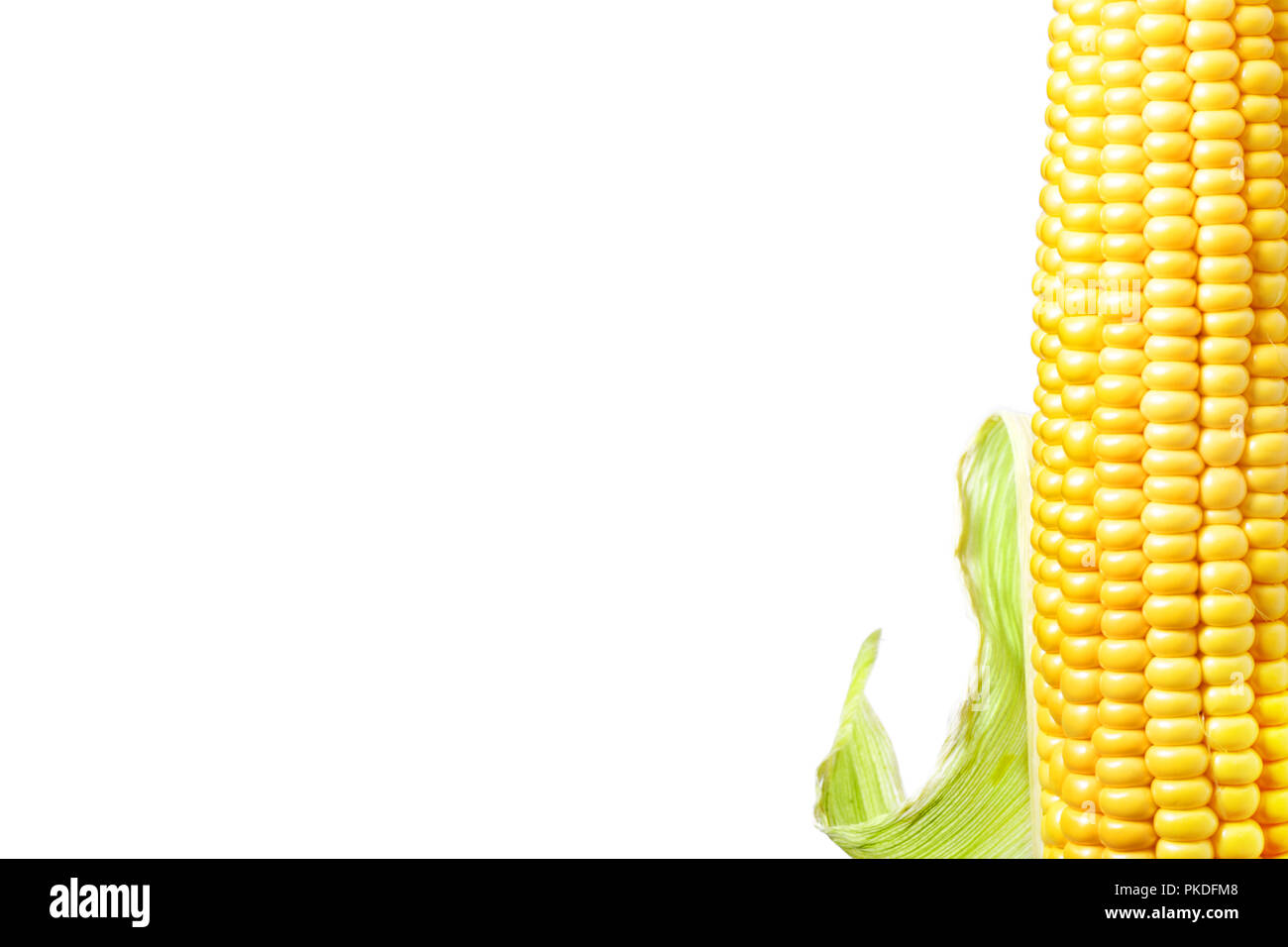 Corn Background For Powerpoint
