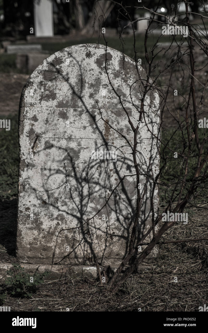 Old headstone/tombstone with small dried out tree in front Stock Photo ...
