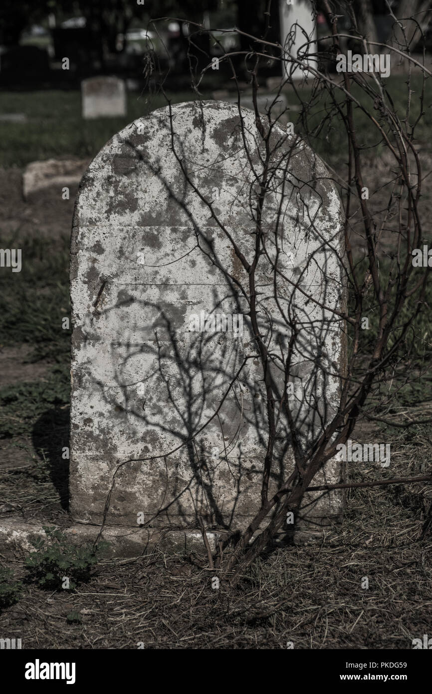 Old headstone/tombstone with small dried out tree in front Stock Photo ...