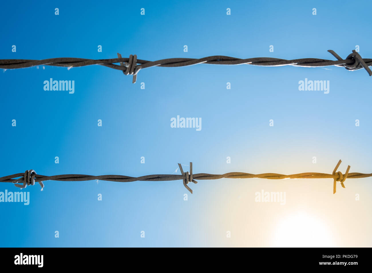 Two strands of barbed wire with blue sky in the background and sunlight ...