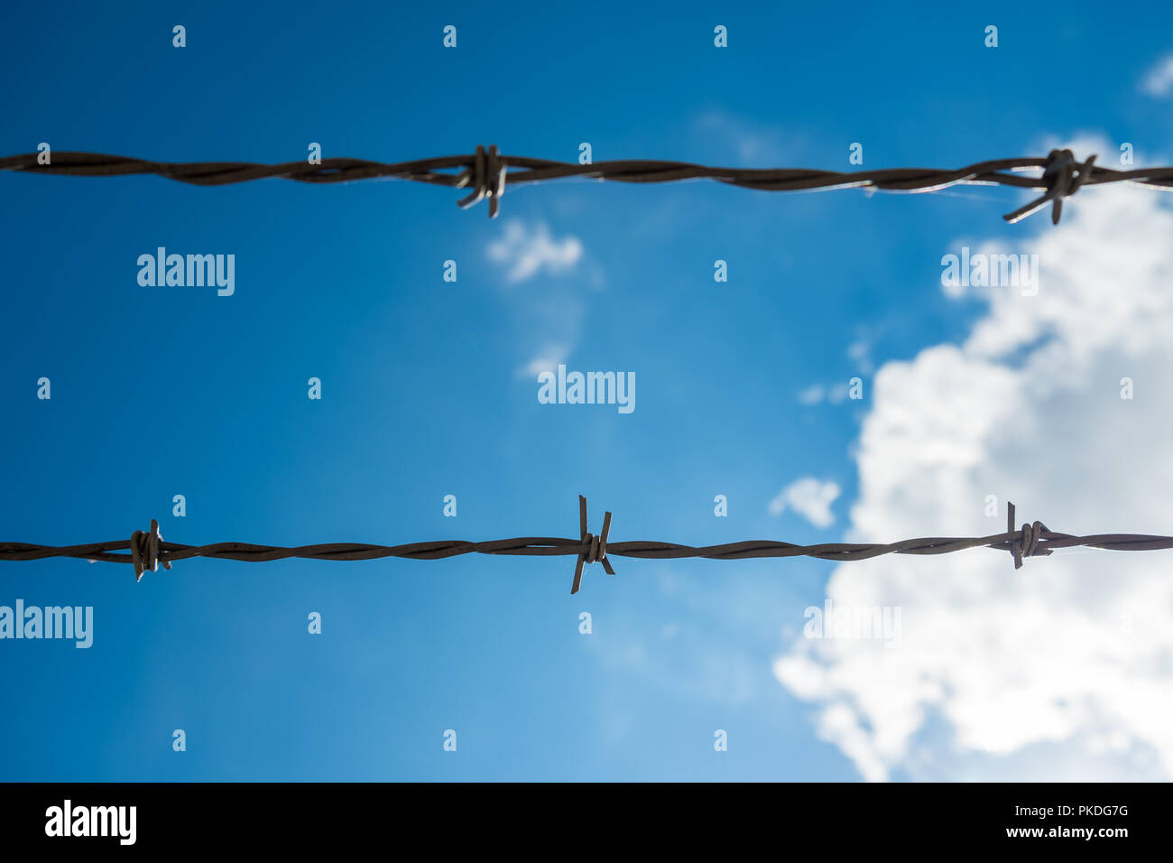 Strands of barbed wire hi-res stock photography and images - Alamy