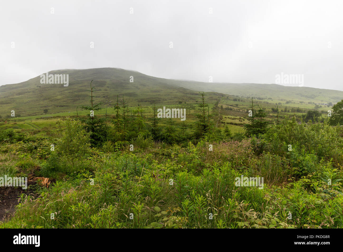 Dromara hi-res stock photography and images - Alamy