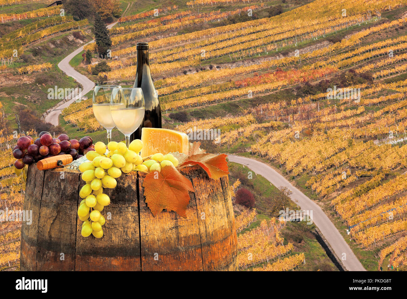 White wine with barrel on famous vineyard in Wachau, Spitz, Austria ...