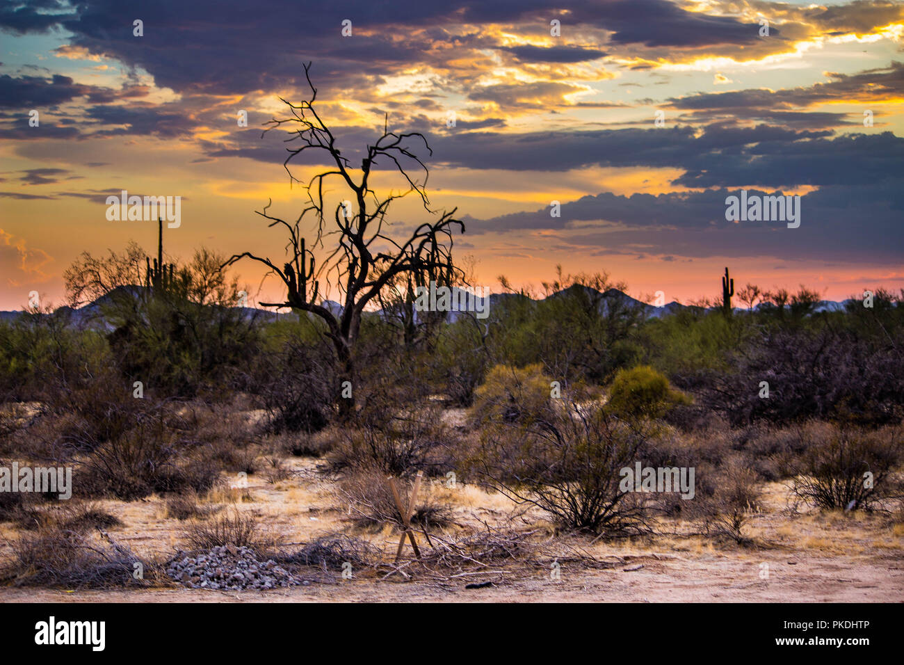 Monsoon forming over desert Stock Photo - Alamy