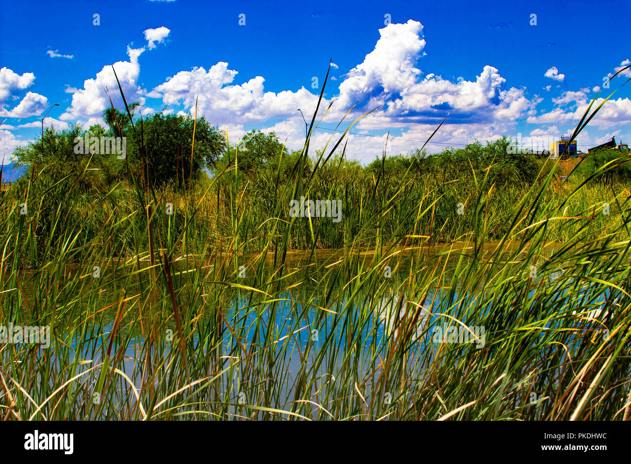 Pond with blue sky and clouds hi-res stock photography and images - Alamy