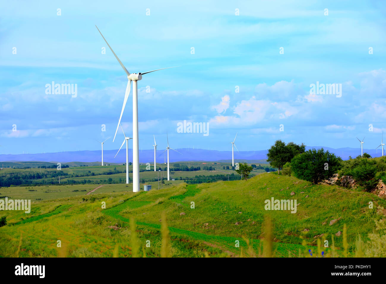 Wind turbines on the grassland Stock Photo - Alamy