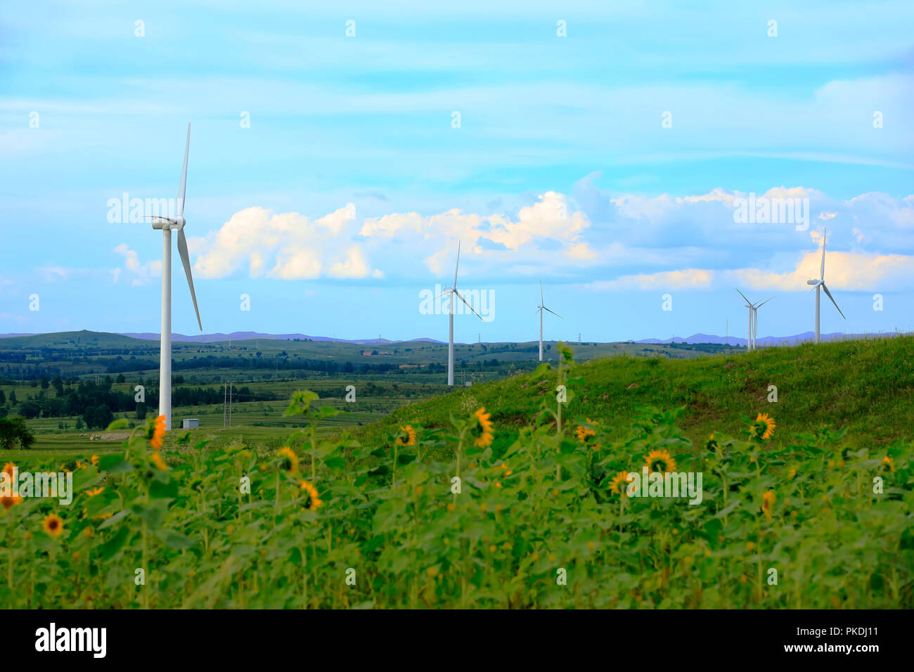 Wind turbines on the grassland Stock Photo - Alamy