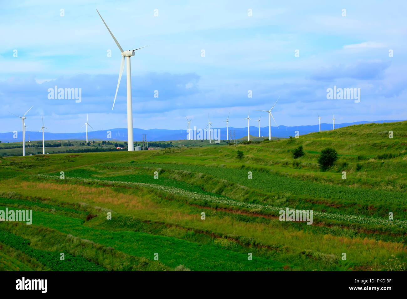 Wind turbines on the grassland Stock Photo - Alamy