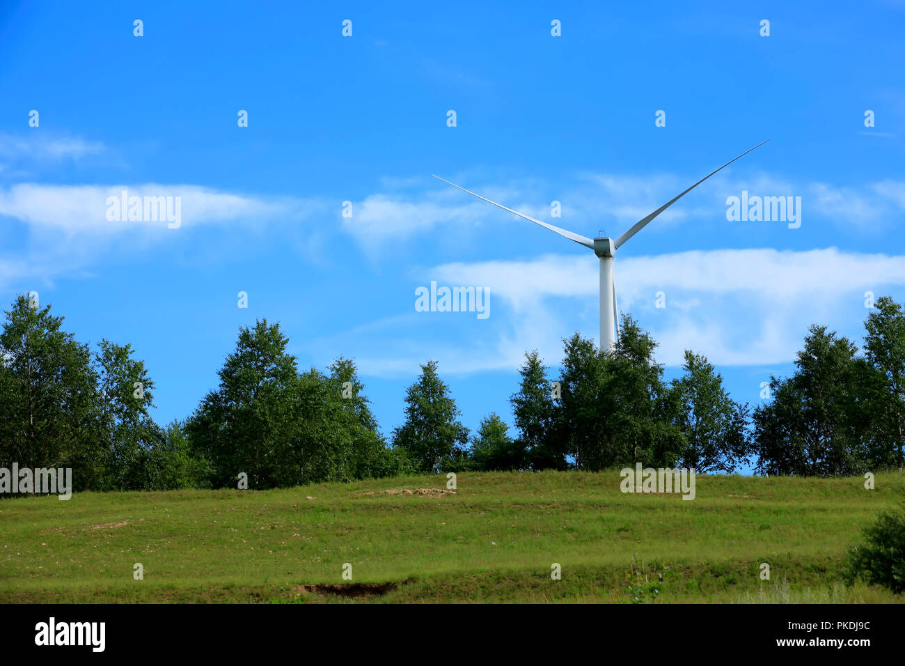 Wind turbines on the grassland Stock Photo - Alamy