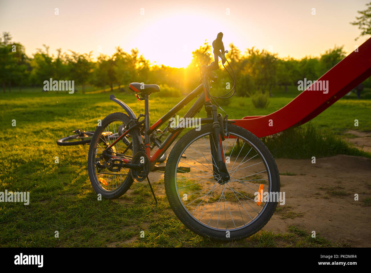 Bike at the summer sunset in the park. Cycle closeup wheel on blurred ...