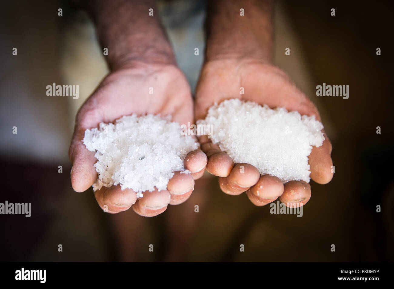 Salt Maker Man Holding Natural Sea Salt in his Hands Stock Photo - Alamy