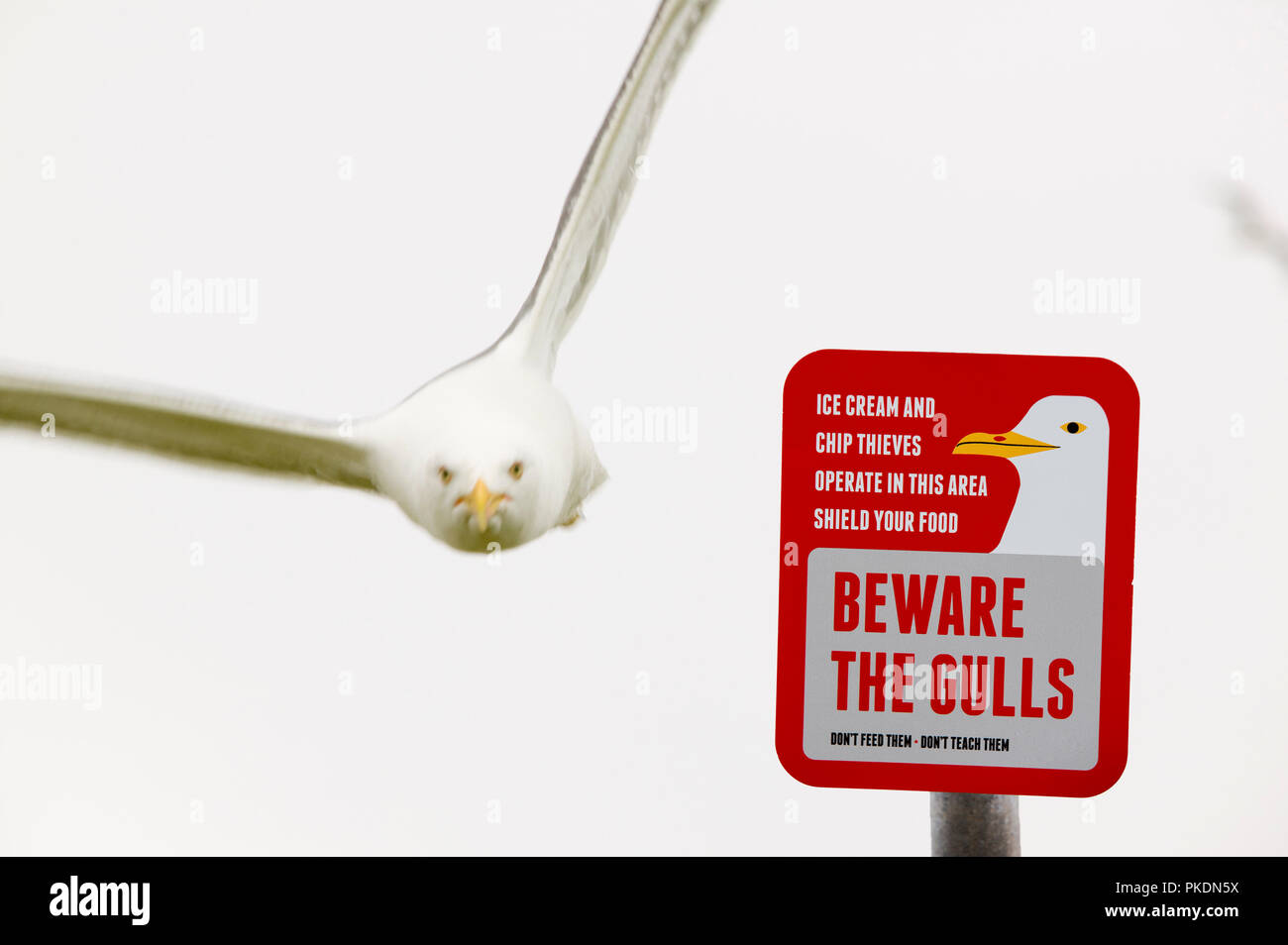 Barrow in furness aerial hi-res stock photography and images - Alamy