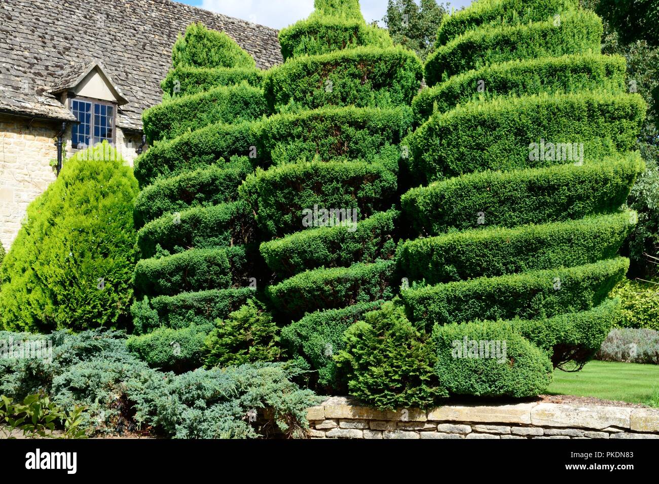 Topiary tree hi-res stock photography and images - Alamy