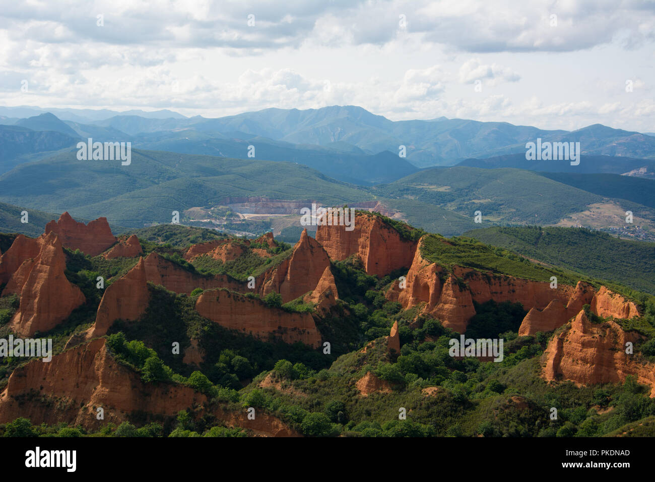 El bierzo trees hi-res stock photography and images - Alamy