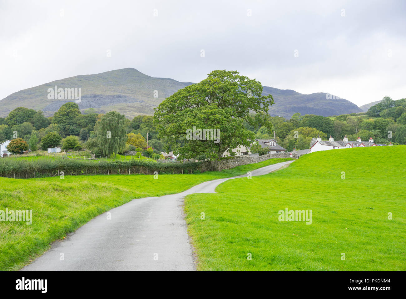 View of Coniston Old Man from Coniston Water,Cumbria, England, UK Stock ...