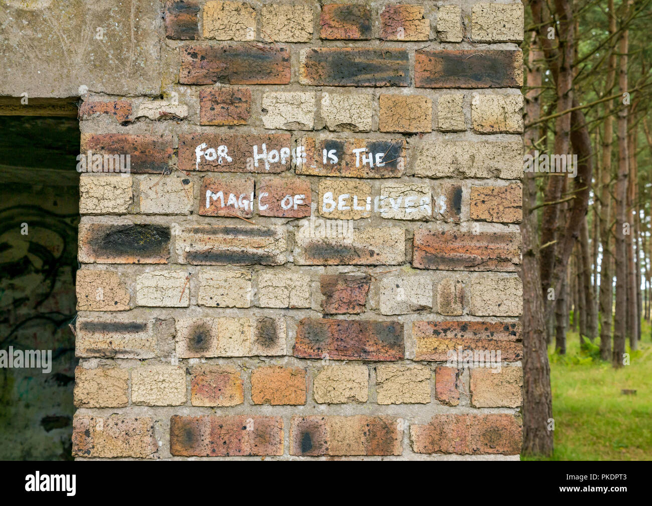 World War II building with graffiti says For Hope is the Magic of ...