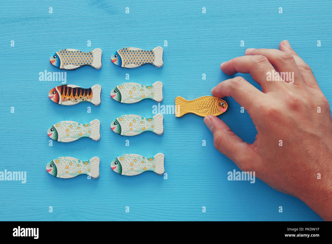 different fish swimming opposite way of identical ones. Courage and ...