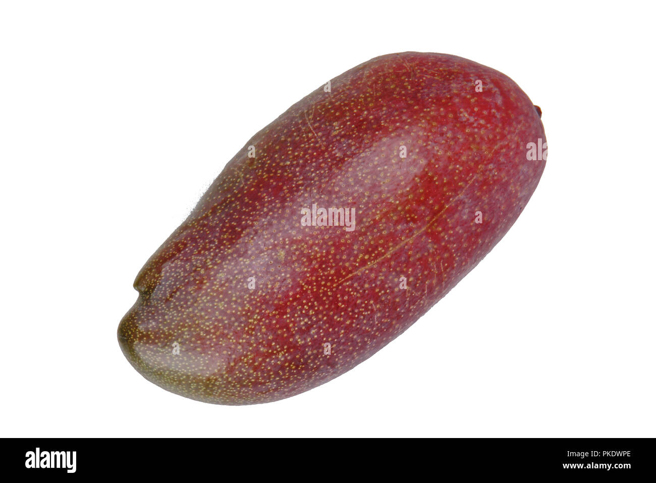Mango palmer hi-res stock photography and images - Alamy