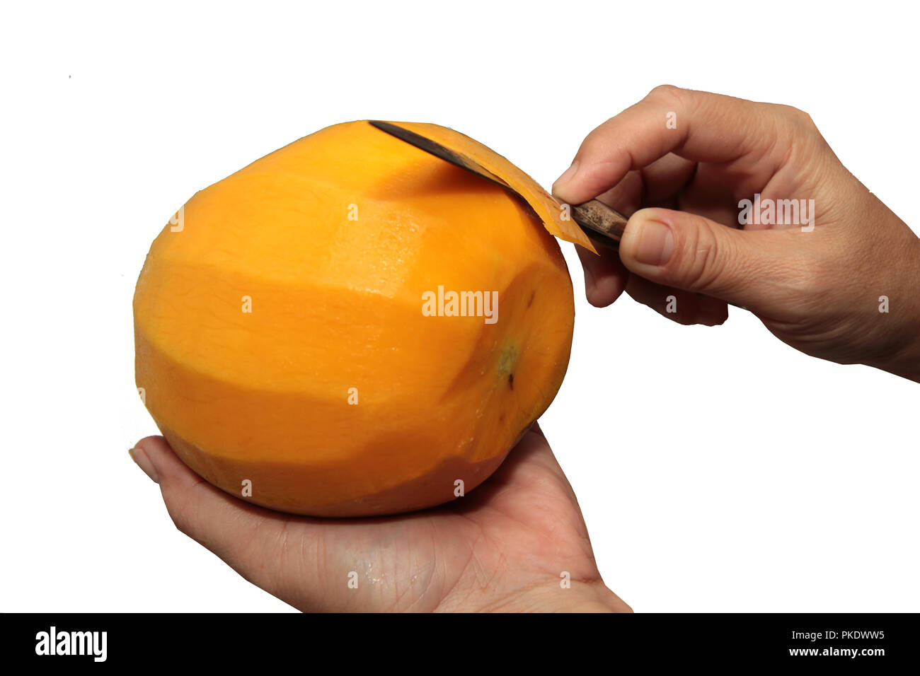 Isolated of Ripe orange red R2E2 Mango ,Use left hand and right hand ...